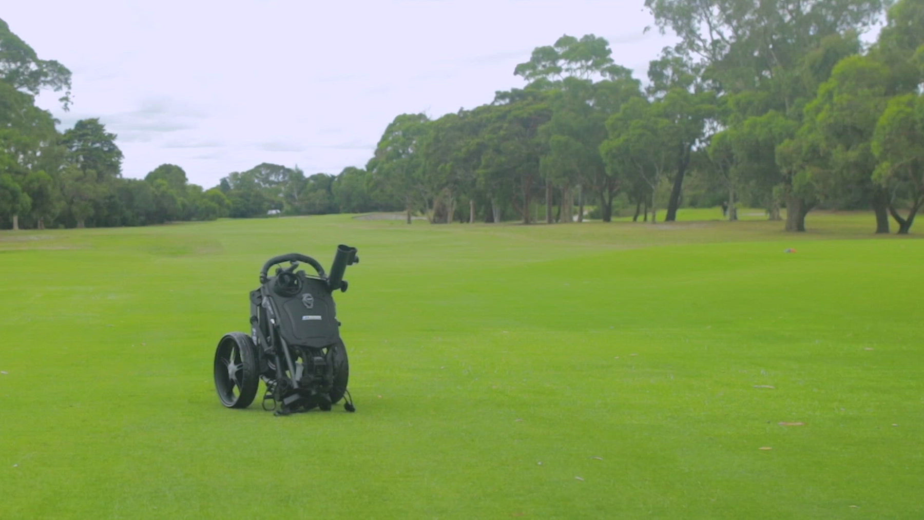 Buy Push Golf Buggy | Golf Buggy for sale Australia – Stinger Golf Products | Stinger Golf Products